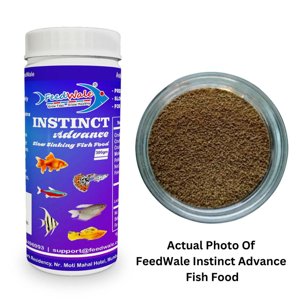 Instinct Fish Food 300gm Slow Sinking Aquarium Fish Food – FeedWale