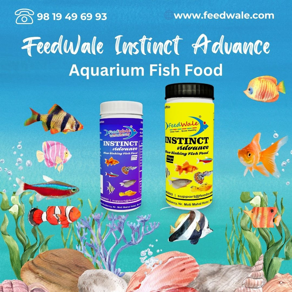 Instinct Advance Fish Food 250gm Slow Sinking For Aquarium Fishes ...
